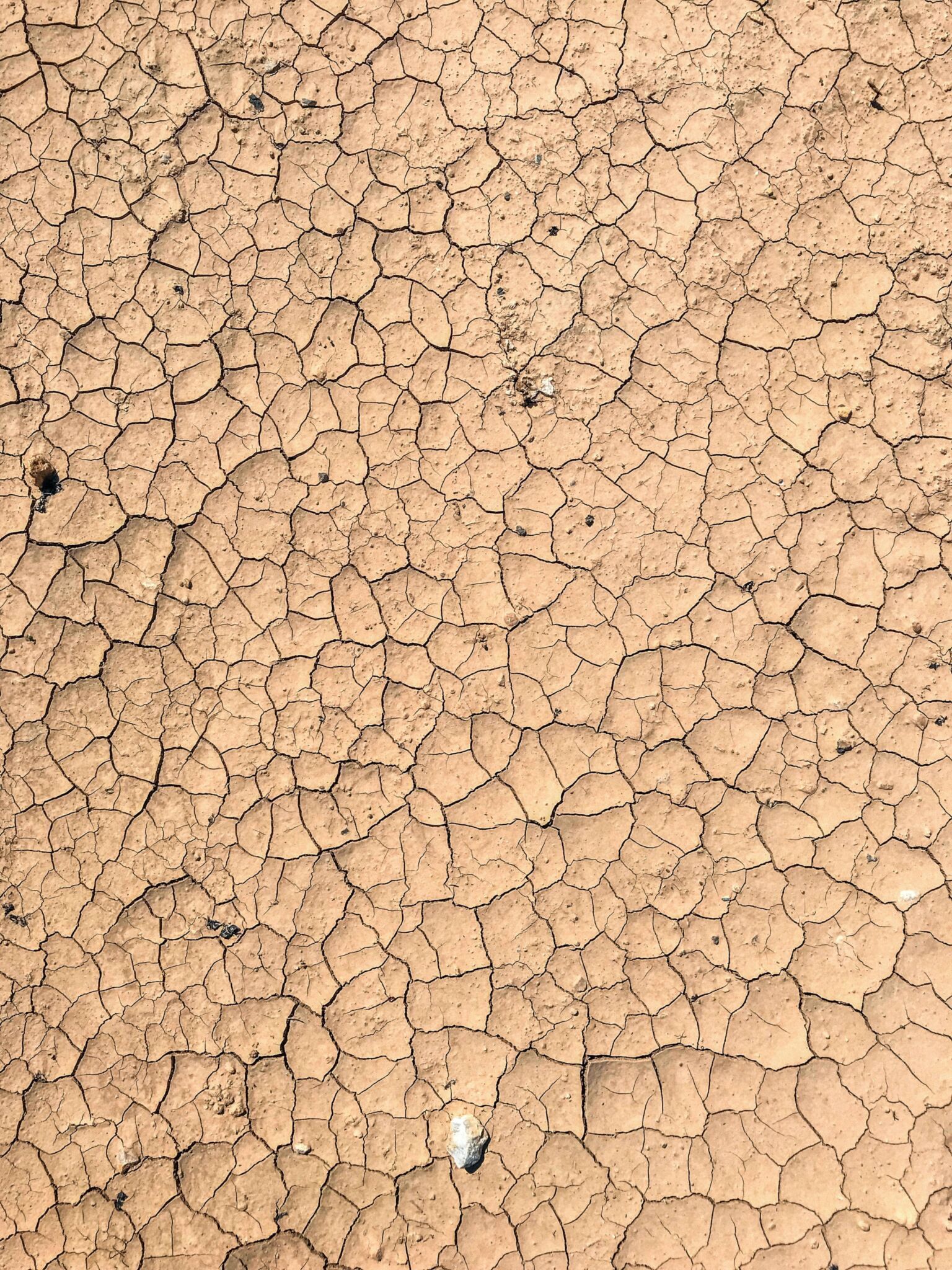 Silica Mag — Too Hot, Too Dry: A Climate-Driven Megadrought is Emerging ...
